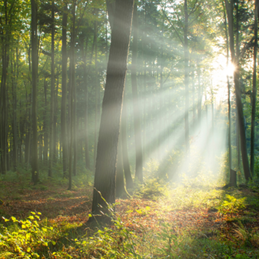 Eol Doula | Funeral Celebrant Course – Celebrant Training Courses|PD ...
